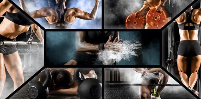 Basic Human Movement Patterns - Limitless Fitness Coaching and Education