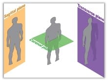 Basic Human Movement Patterns - Limitless Fitness Coaching and Education